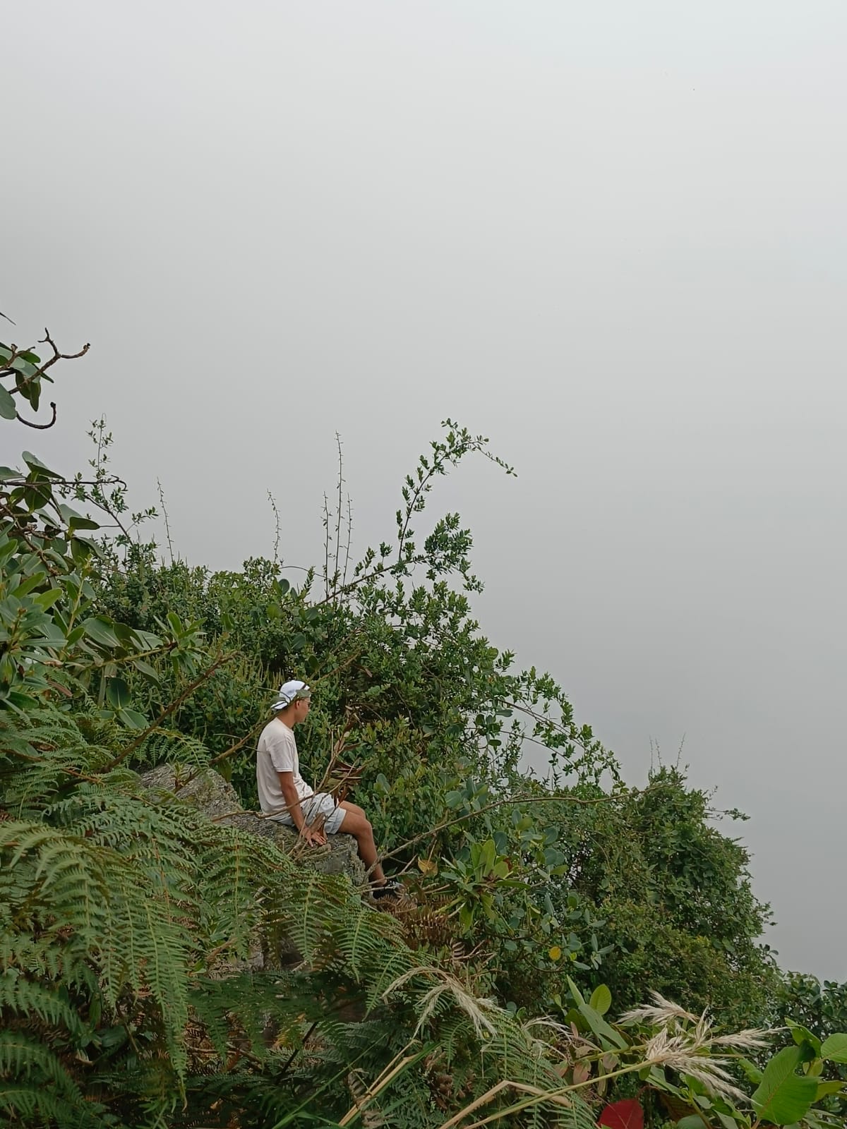 Portfolio Jonathan Cardona